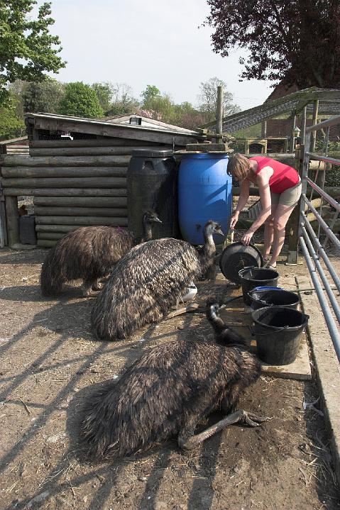 Various/Puckpitts/Puckpitts_Farm_5783